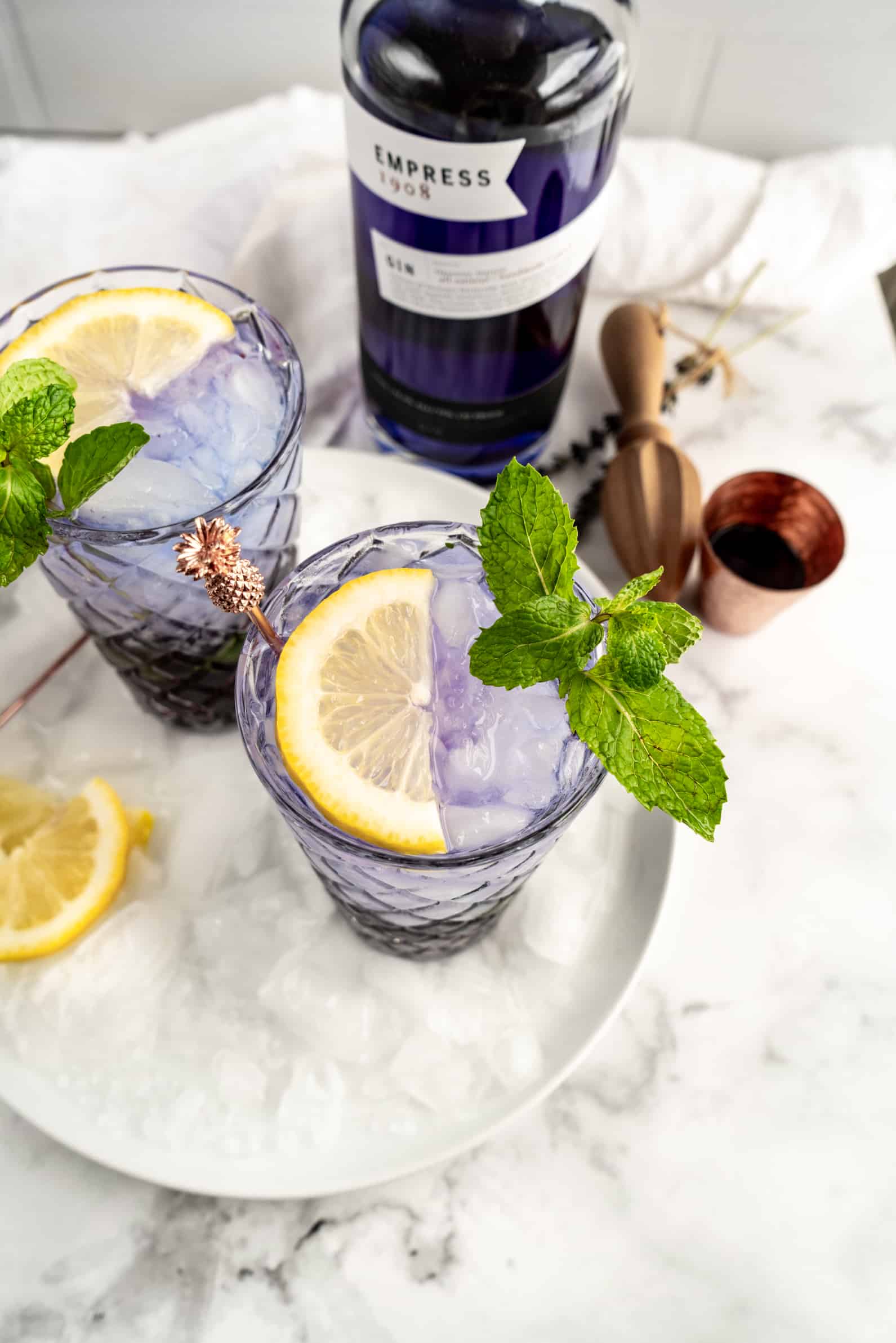 Blueberry Gin Mojito - The Windy City Dinner Fairy